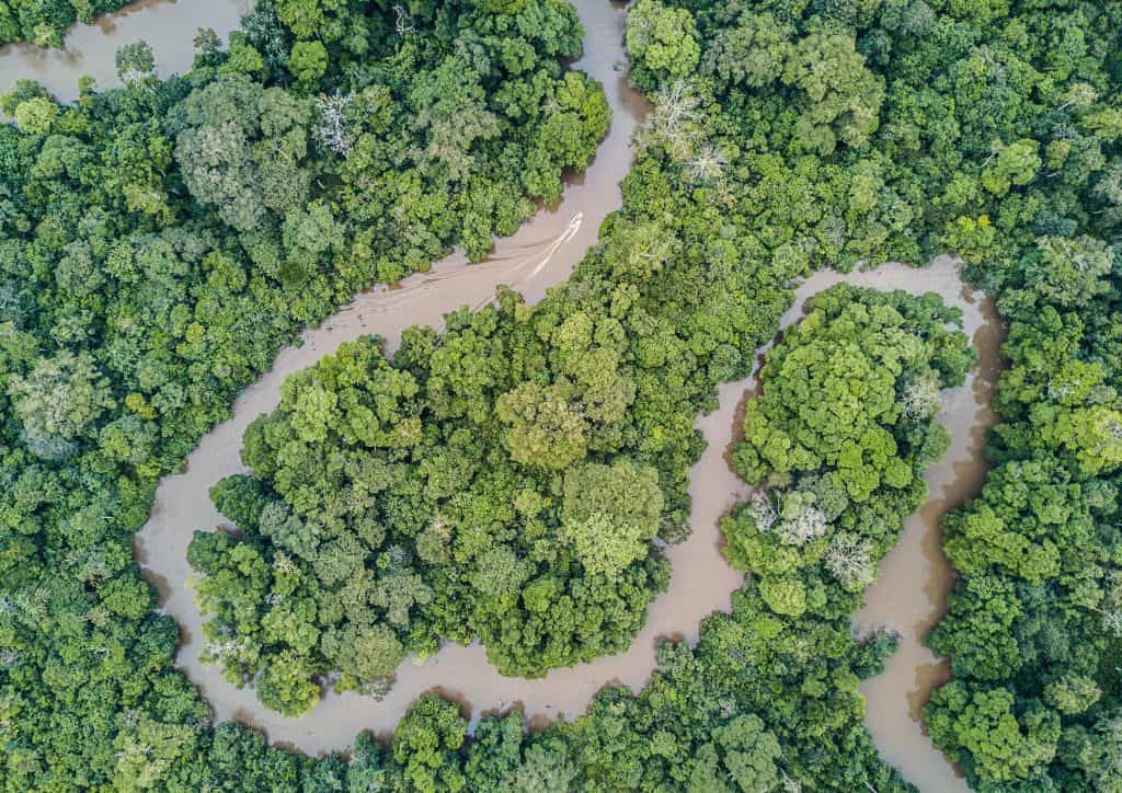 Kamba - African Rainforest Experiences