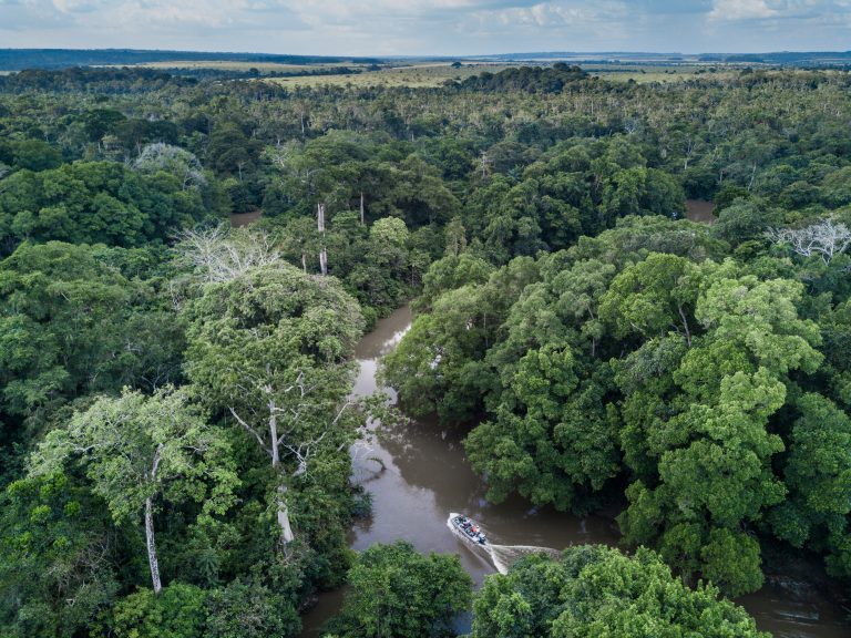 Kamba - African Rainforest Experiences