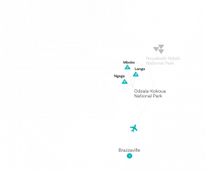 Odzala Immersion - Kamba