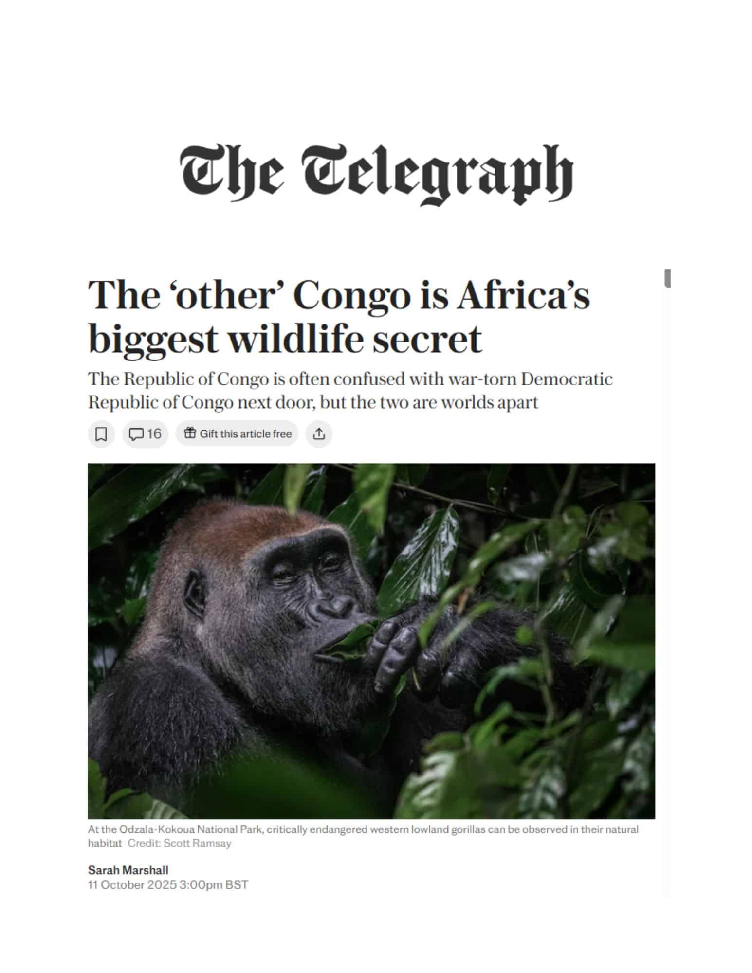 The Telegraph - Kamba